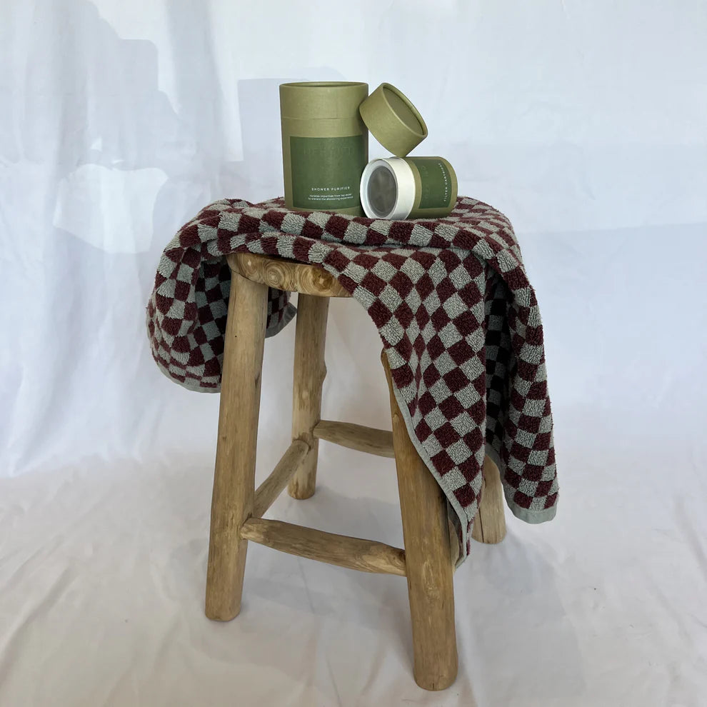 The Shower Purifier - Brushed Silver – EVE THE SALON